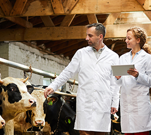 Hexnode MDM Case Study | Acuitus Ag